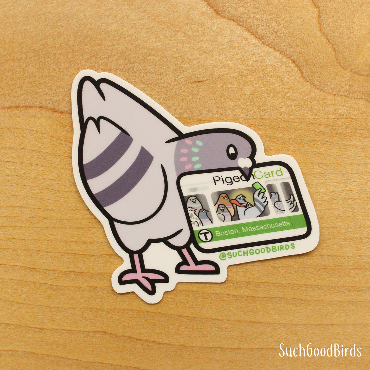 Boston Pigeon w Charlie Card - 3" Vinyl Sticker – Such Good Birds